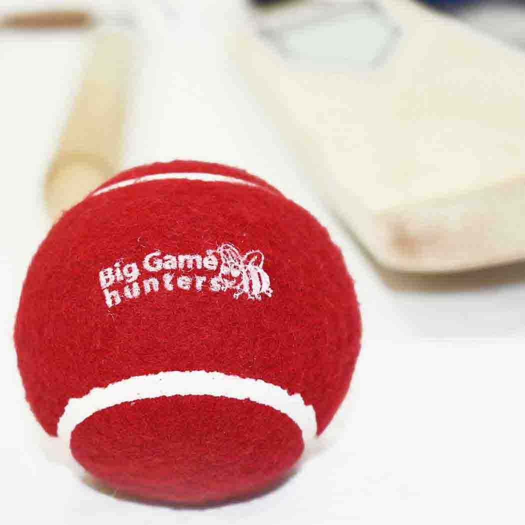 Kids Cricket Set | Kids Cricket Bat & Ball – Big Game Hunters